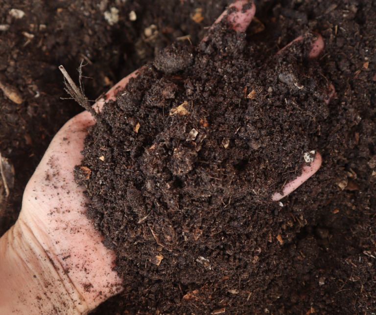 Section 1: Vermicomposting- What It Is, How It Works, And Why It ...